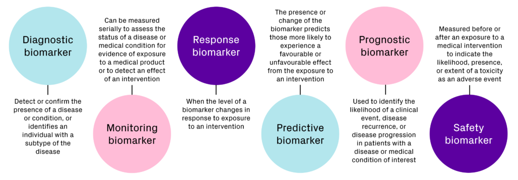 What is an imaging biomarker? An important tool in drug development ...
